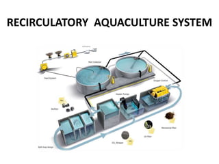 Recirculating Aquaculture System Components