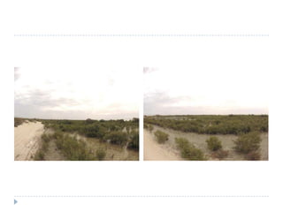 Ras ghurab island presentation | PPT