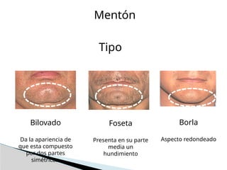 RASGOS Y CARACTERISTICAS DEL ROSTRO HUMANO | PPTX