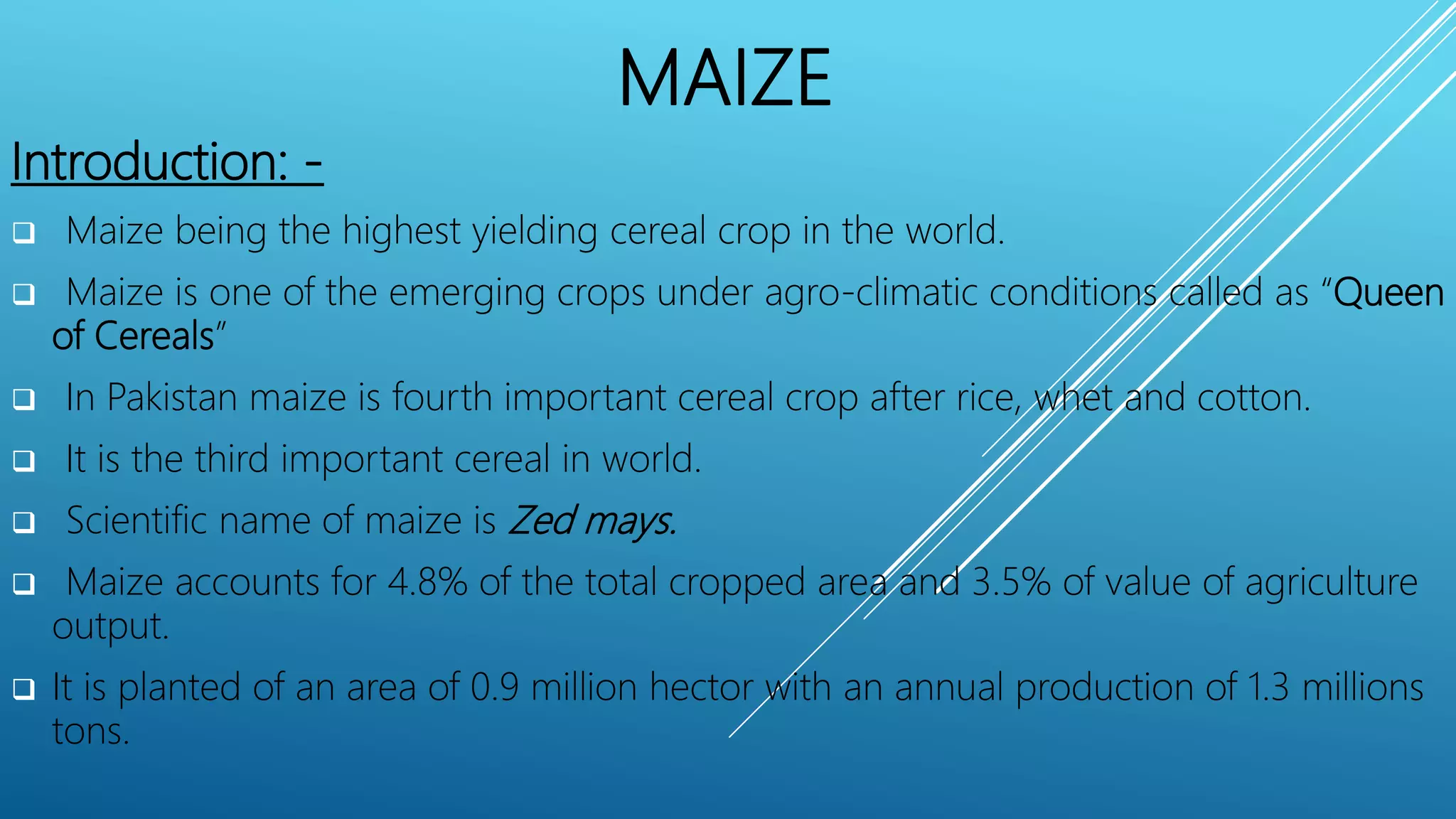 Introduction Of Maize | PPTX