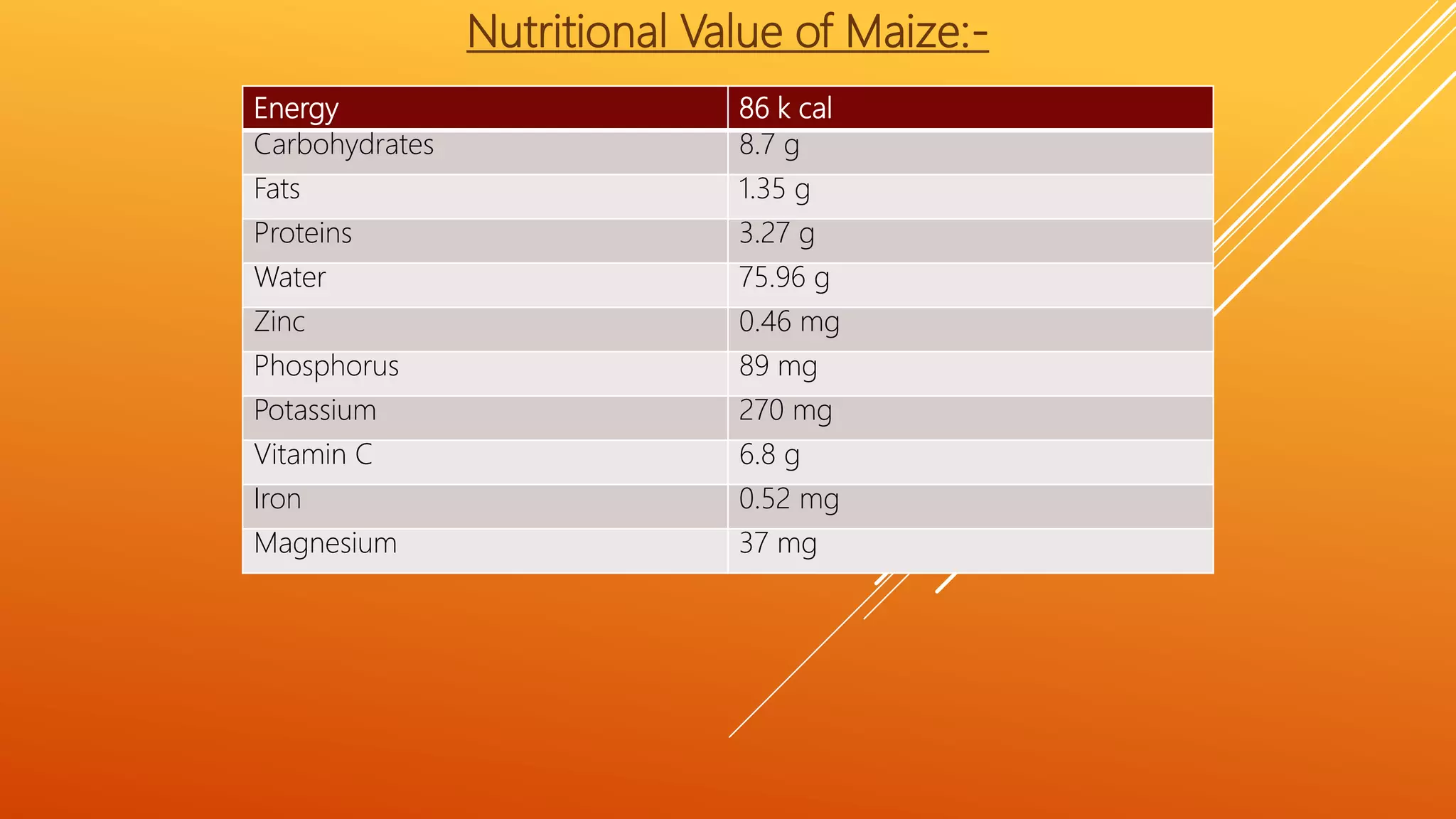 Introduction Of Maize | PPTX