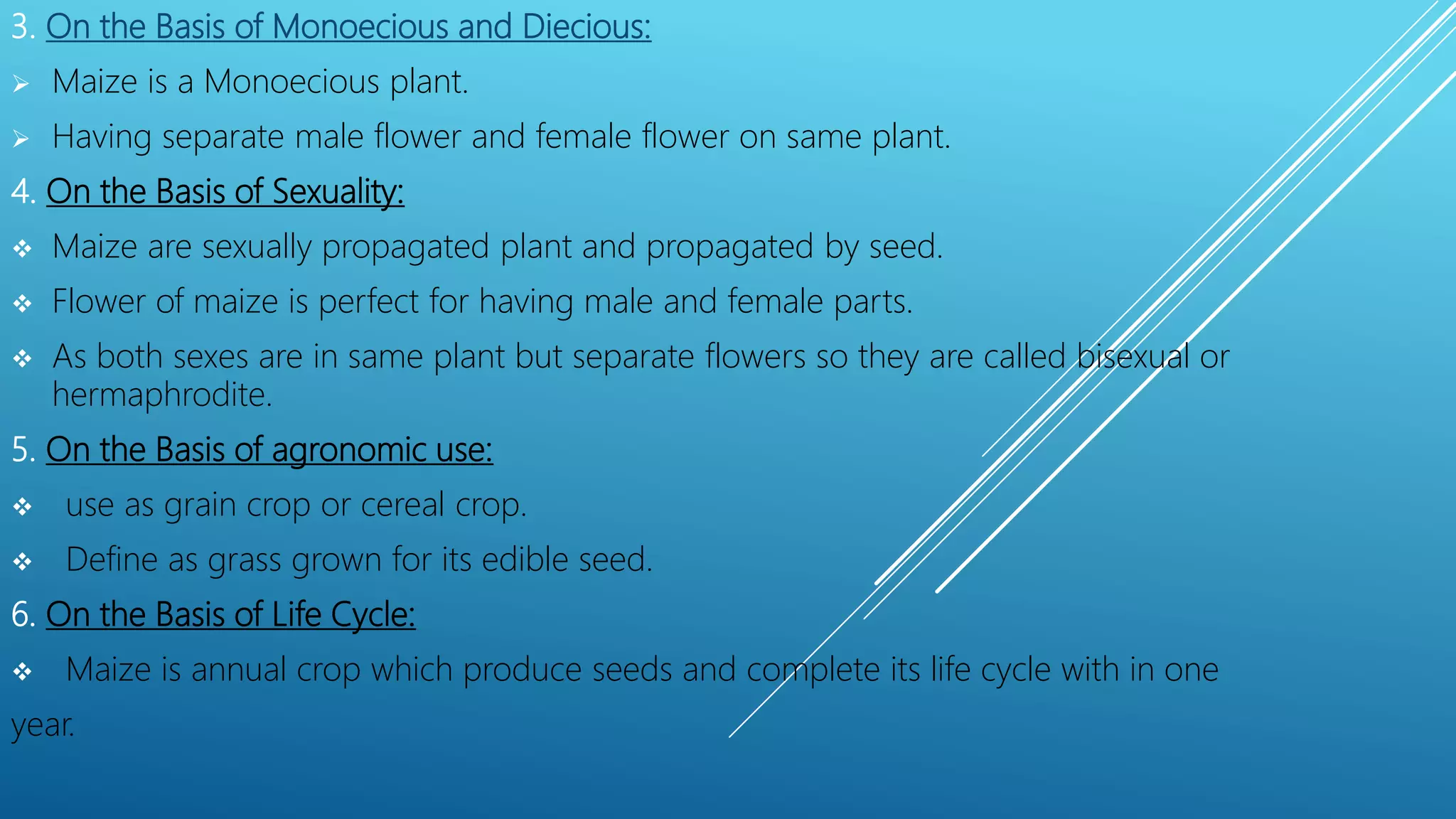 Introduction Of Maize | PPTX