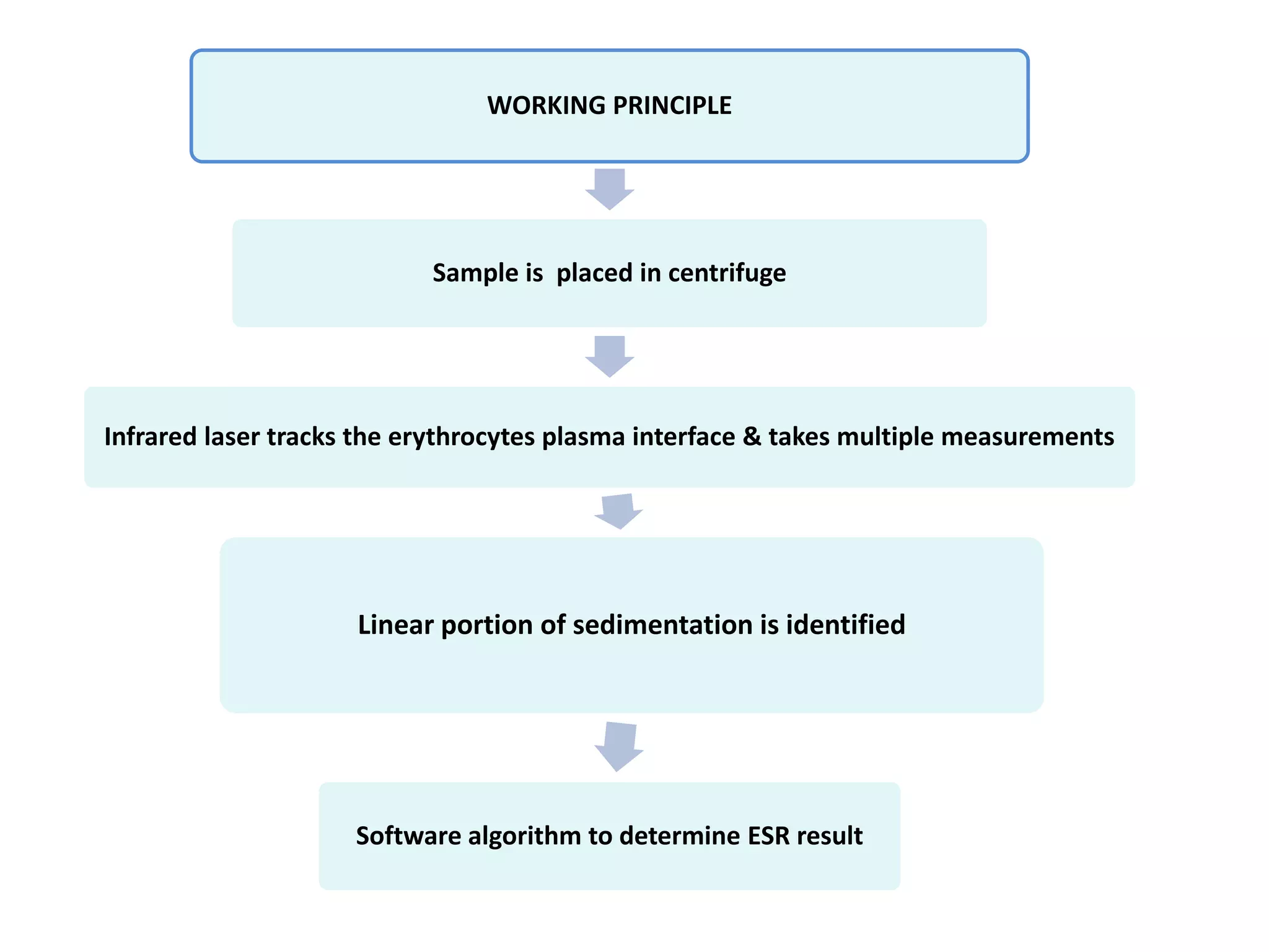 Rashida Ansari ESR.pdf