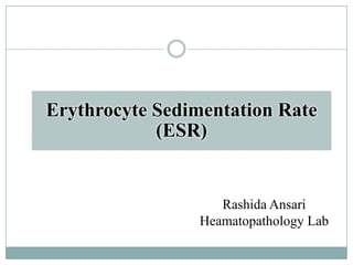 Rashida Ansari ESR.pdf
