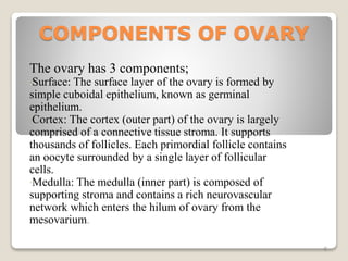 female reproductive system | PPT