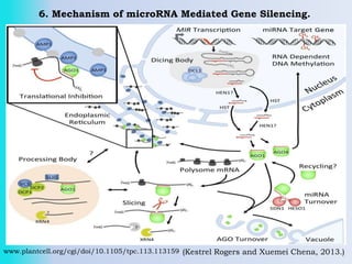 microRNA in Plant Defence and Pathogen Counter-defence | PPTX