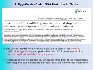 microRNA in Plant Defence and Pathogen Counter-defence | PPTX