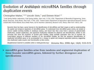 microRNA in Plant Defence and Pathogen Counter-defence | PPTX
