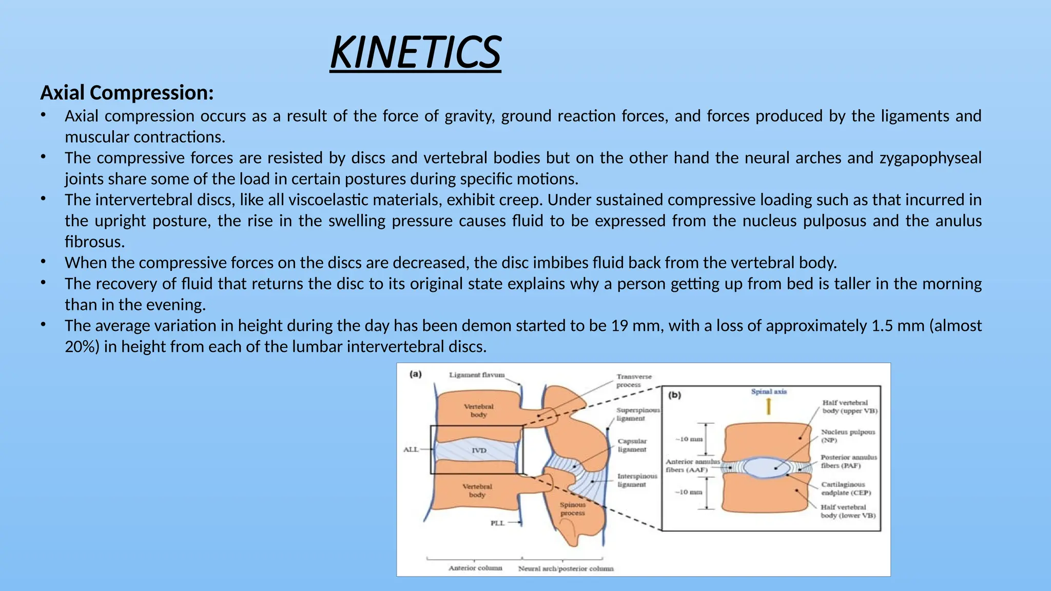 Biomechanics of invertebral disc at pdi.pptx