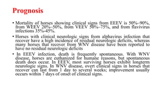 Viral encephalomyelitis of horse | PPTX