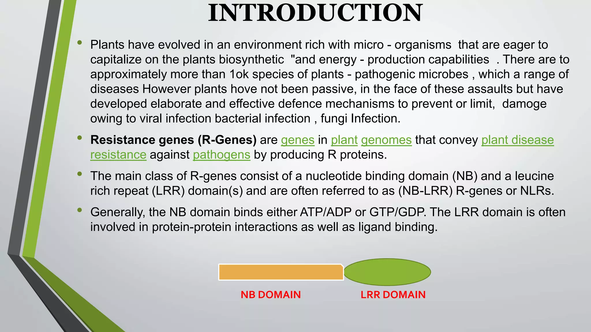 Resistance mechanism In Plants - R GENE | PPTX