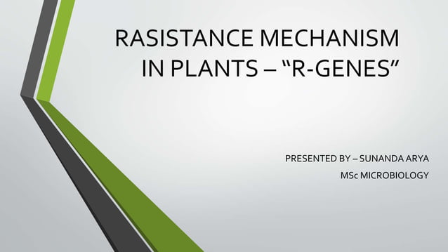 Resistance mechanism In Plants - R GENE | PPTX | Gardening | Home & Garden