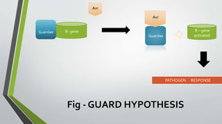 Resistance mechanism In Plants - R GENE | PPTX