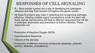 Resistance mechanism In Plants - R GENE | PPTX