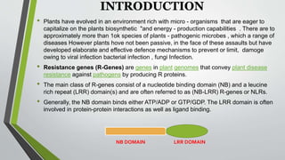 Resistance mechanism In Plants - R GENE | PPTX