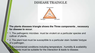 Resistance mechanism In Plants - R GENE | PPTX