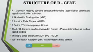 Resistance mechanism In Plants - R GENE | PPTX
