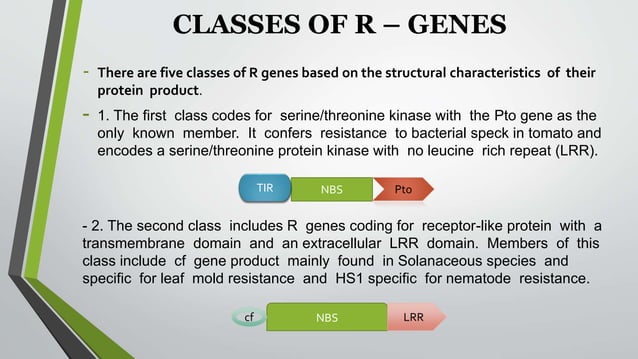Resistance mechanism In Plants - R GENE | PPTX | Gardening | Home & Garden