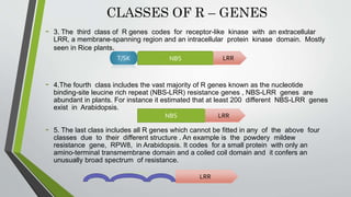 Resistance mechanism In Plants - R GENE | PPTX