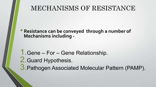 Resistance mechanism In Plants - R GENE | PPTX