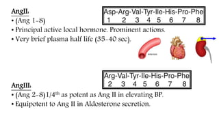 Renin Angiotensin Aldosterone System and its applications | PPTX