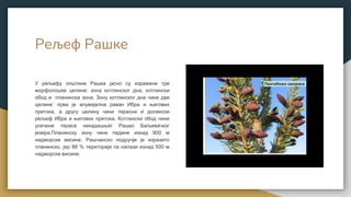 Raska moj grad | PPTX