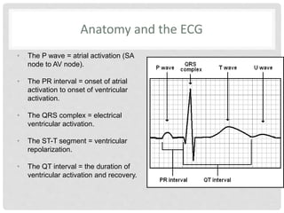 Rasltin-ECGs_The_Basics_and.pptx