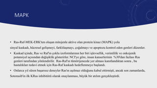 ras mapk.pptx