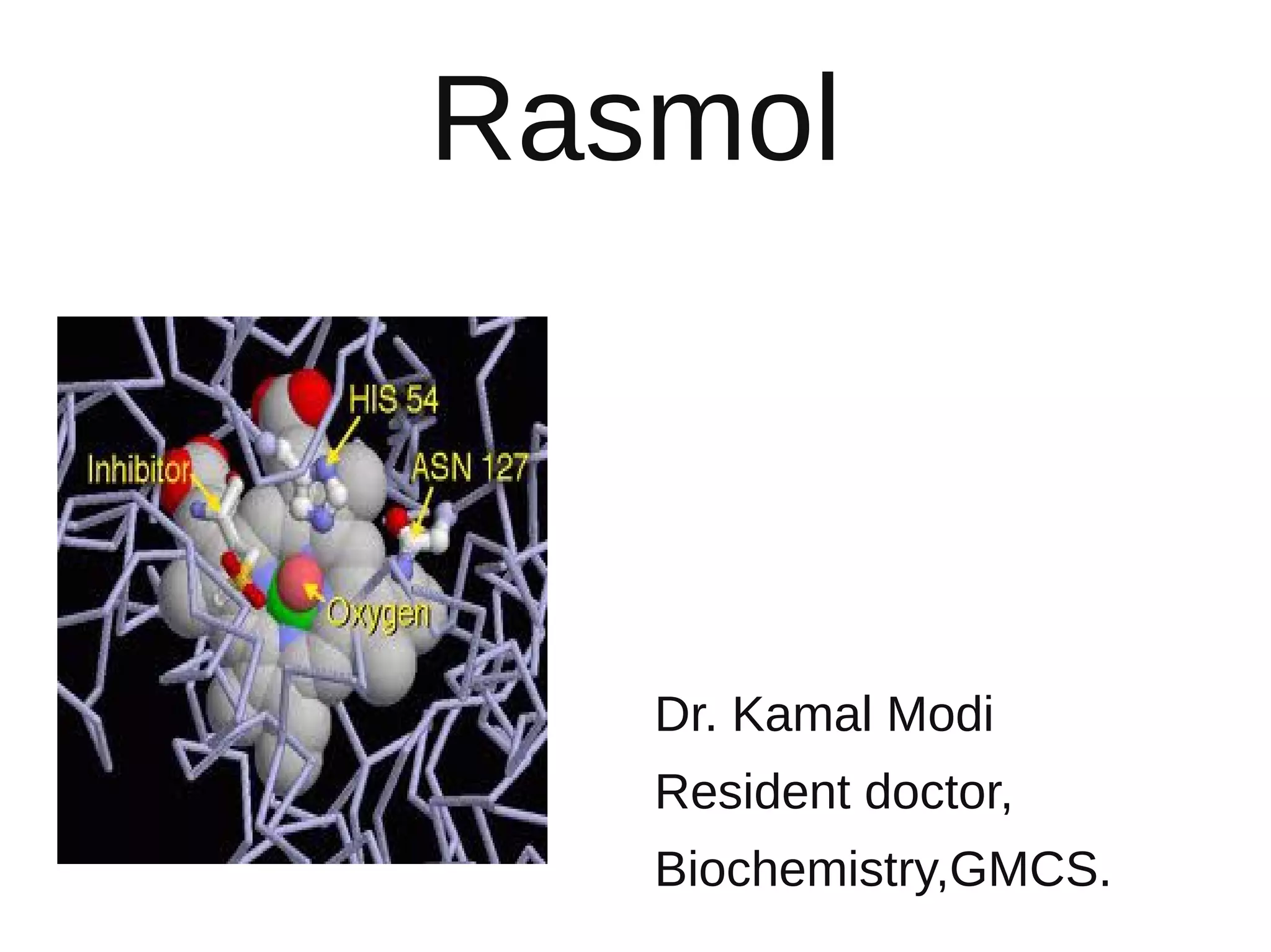 Use of Rasmol and study of proteins | PDF