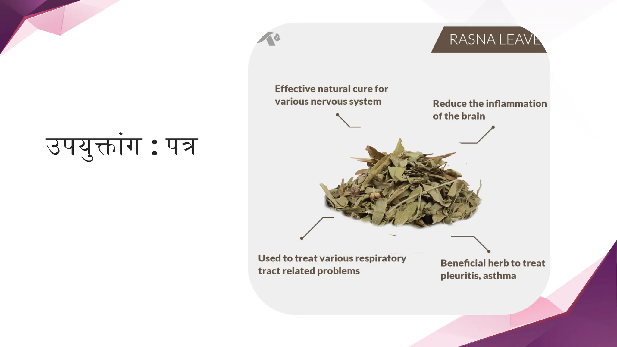 Rasna Drug.pptx including information of drya | PPT | Free Download