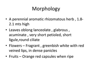 Rasna, Rasona, Rohitaka, Sahachara | PPTX