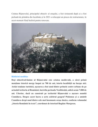 Rasnov plin de turist .docx