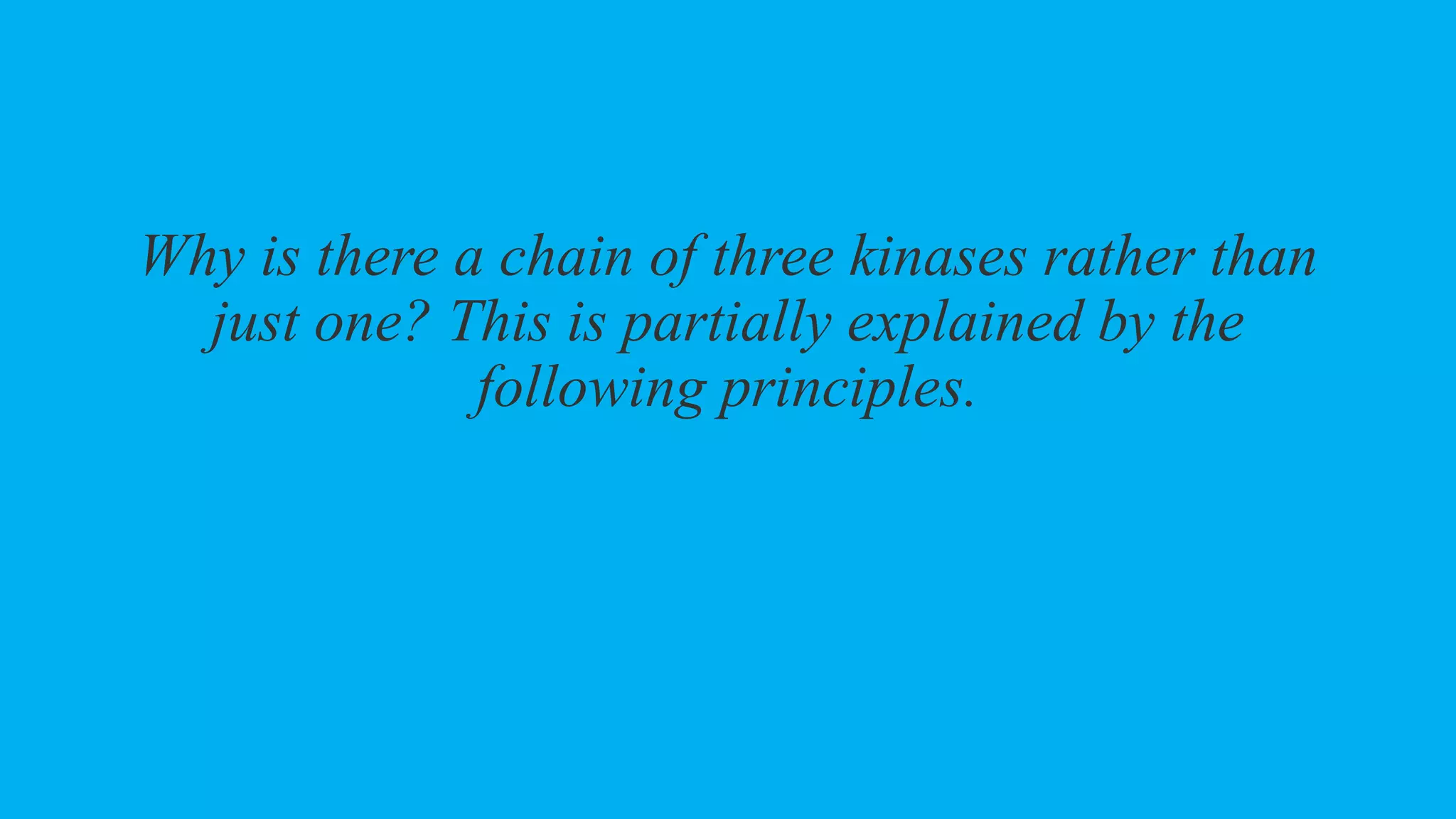 MAPK -Ras pathway | PPTX