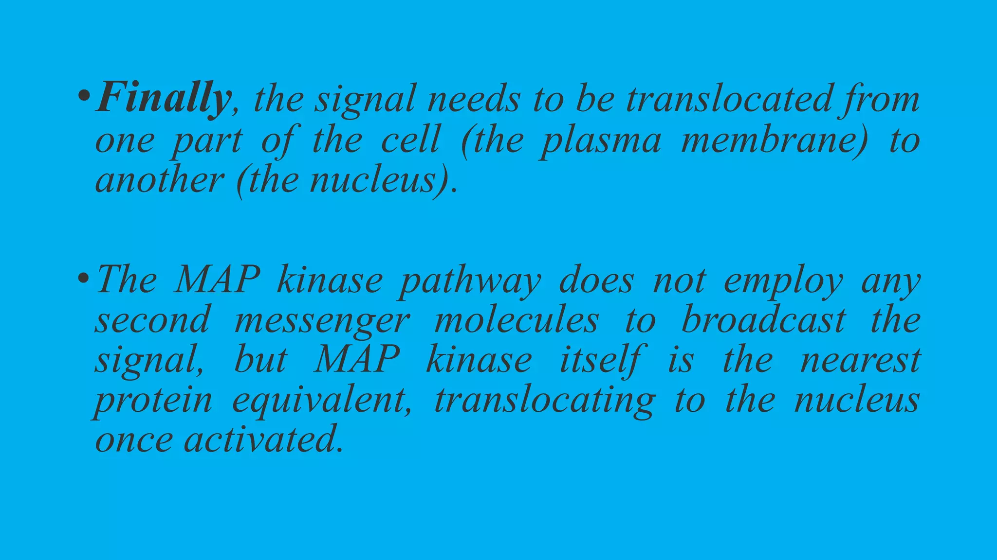 MAPK -Ras pathway | PPTX