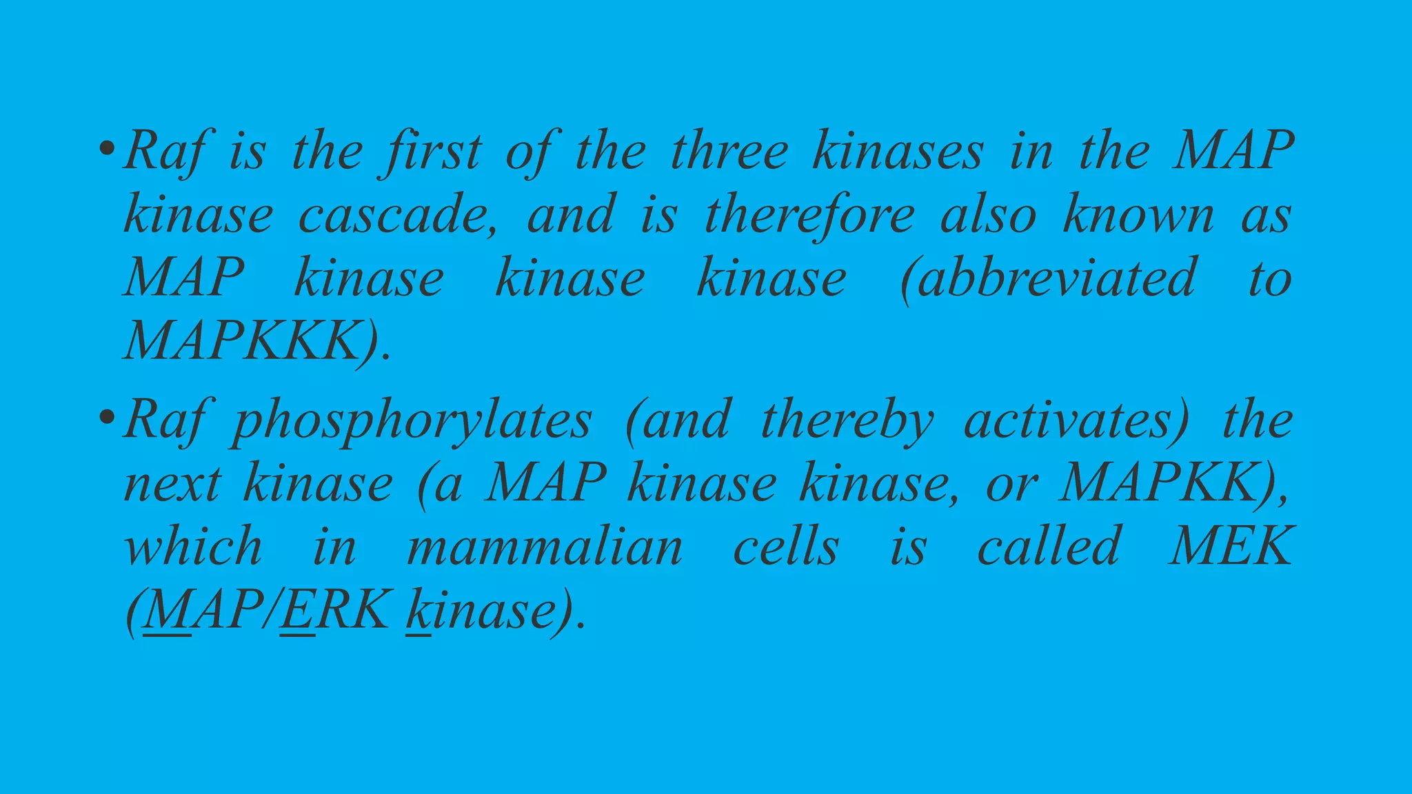 MAPK -Ras pathway | PPTX