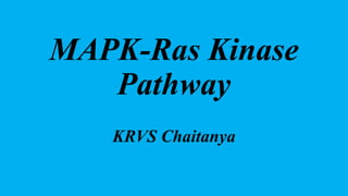 MAPK -Ras pathway | PPTX