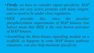 MAPK -Ras pathway | PPTX