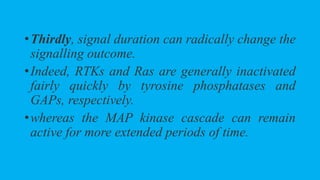 MAPK -Ras pathway | PPTX