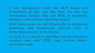 MAPK -Ras pathway | PPTX