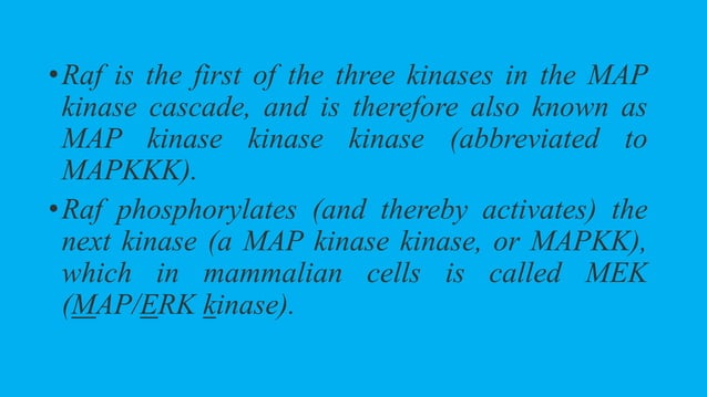 MAPK -Ras pathway | PPTX | Endocrine and Metabolic Diseases | Diseases and Conditions