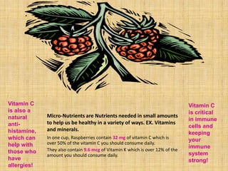 Raspberries | PPT