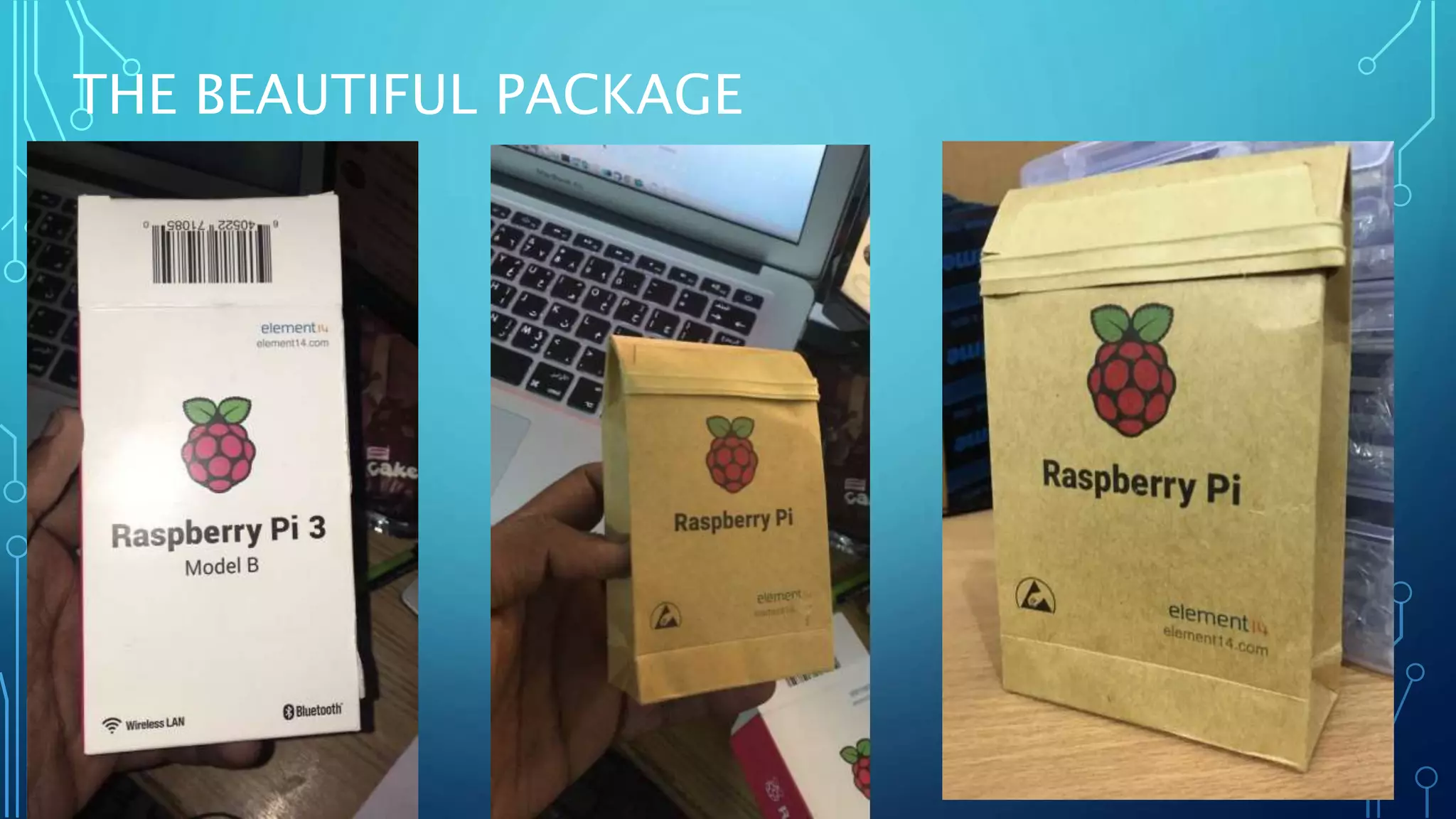 Raspberry | PPT
