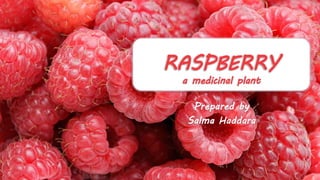 Raspberry - medicinal plant PowerPoint | PPT