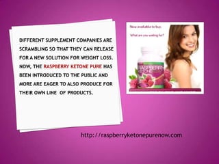Raspberry ketone pure presentation | PPTX