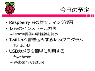 Raspberry PiにUSBカメラを付けて撮影した写真をTwitterにアップする | PPT