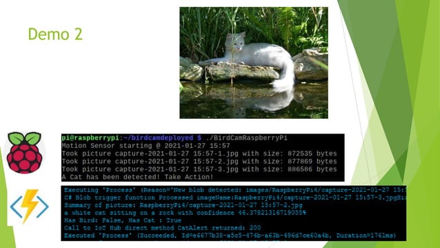 Birdwatching Using A Raspberry Pi Azure Iot Hub And Cognitive Services