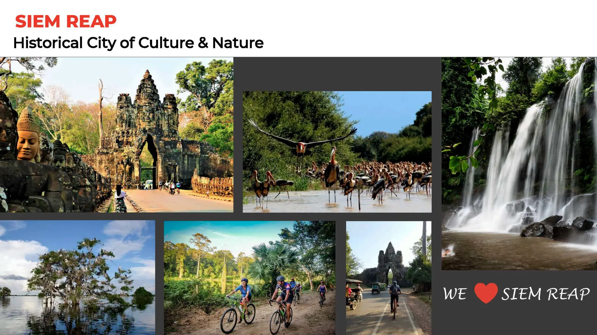 RAS Presentation by Pat (1).pdf