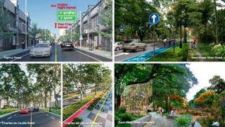 RAS Presentation by Pat (1).pdf