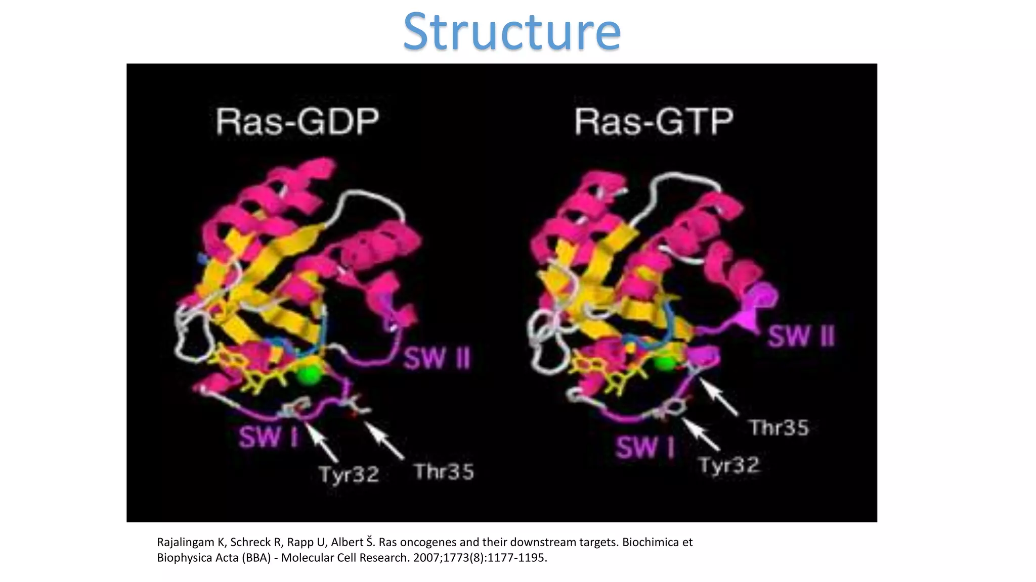 Ras presentation complete | PPTX