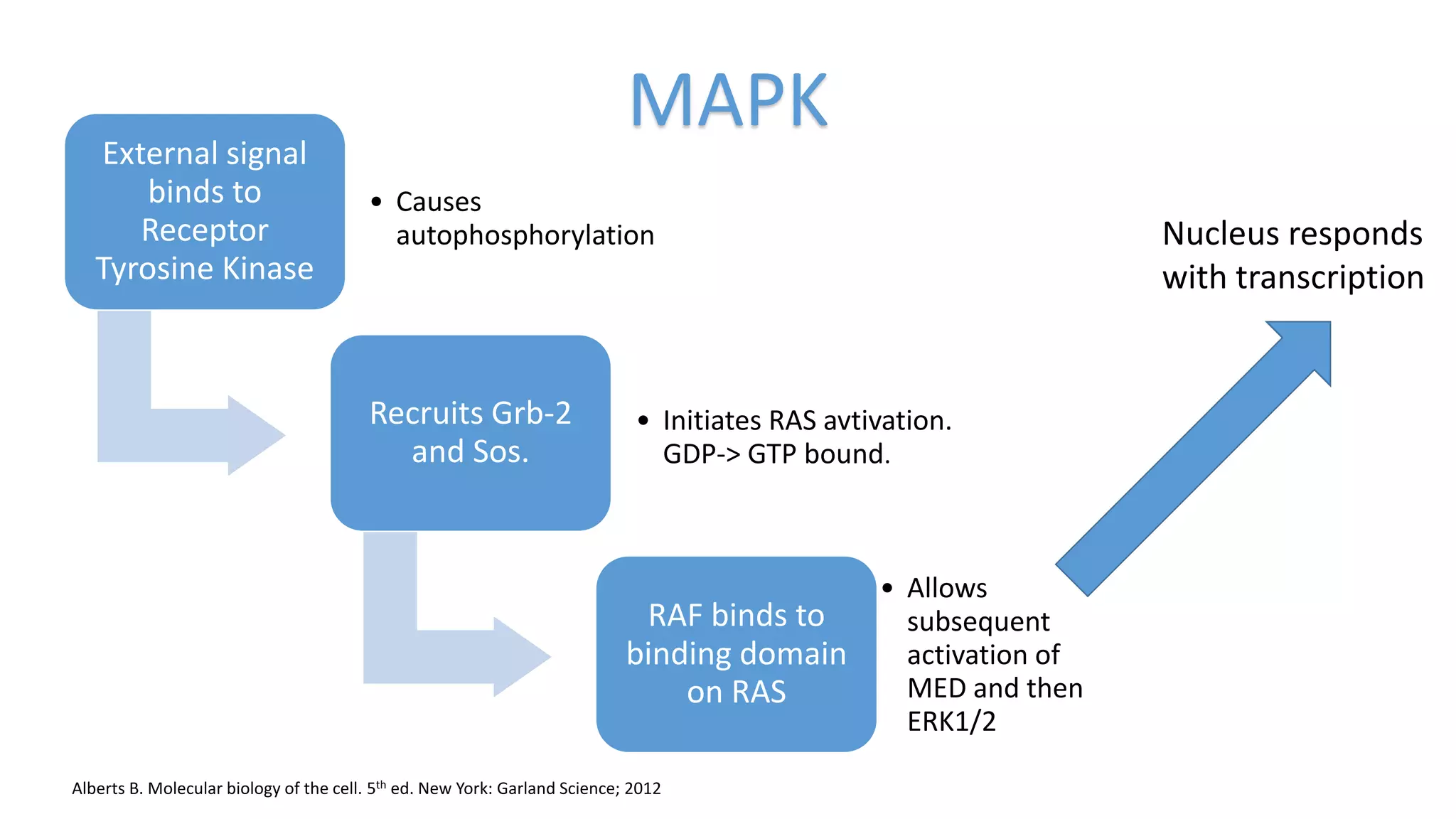 Ras presentation complete | PPTX